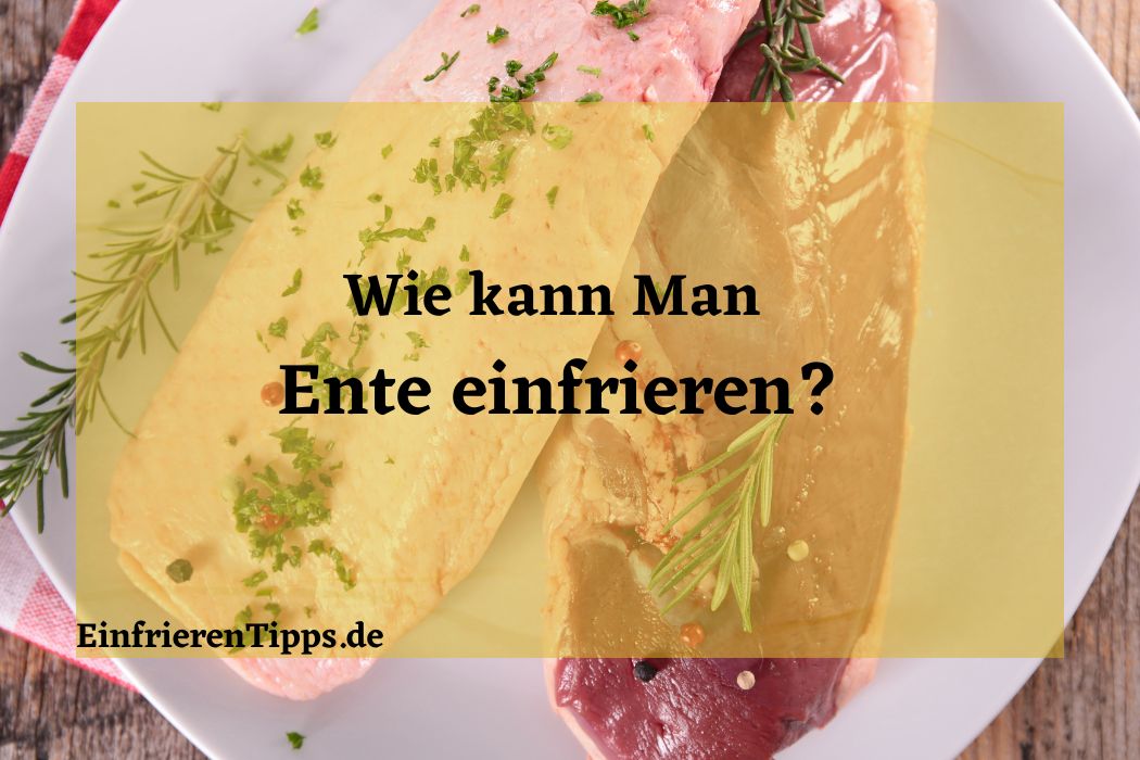 Ente einfrieren: So machen Sie's richtig | Einfrieren Tipps
