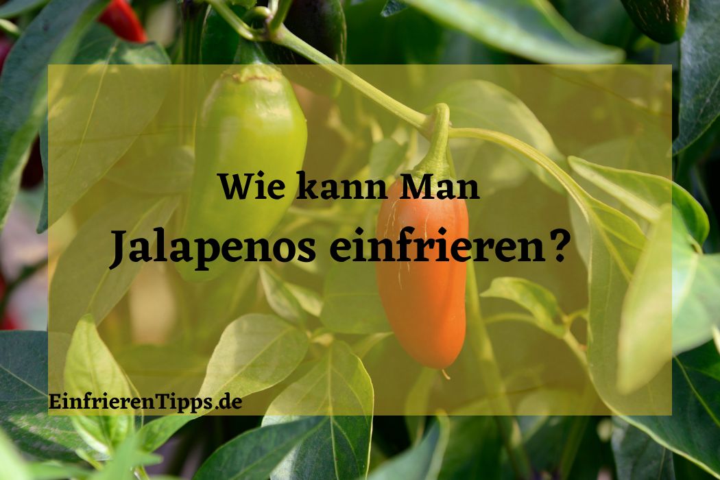 Suppe einfrieren: So bleibt sie lecker! 🥣 ️ | Einfrieren Tipps