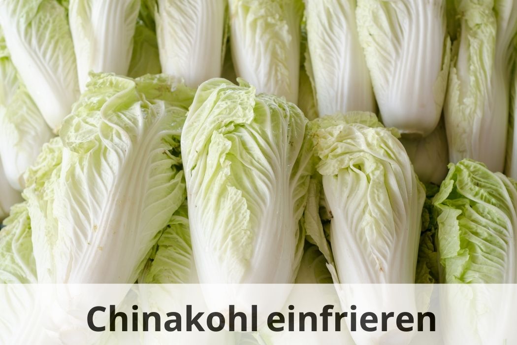Chinakohl einfrieren oder nicht? 🤔 Die ultimative Anleitung ...