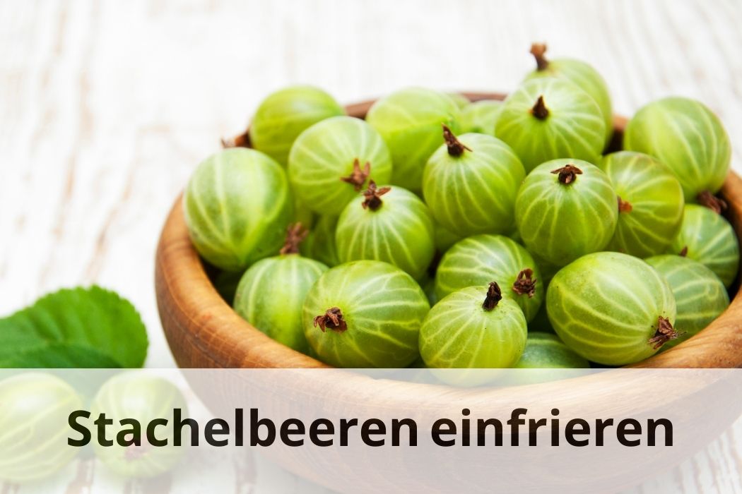 Stachelbeeren einfrieren und das Aroma bewahren: So geht's ...